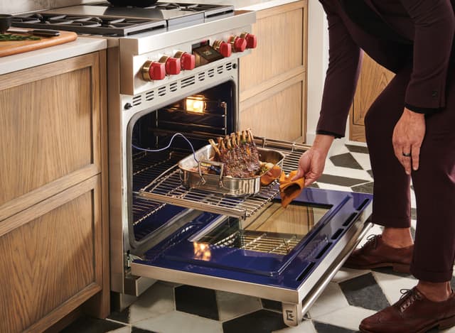 DF48650G/S/P | Sub-Zero & Wolf Philippines